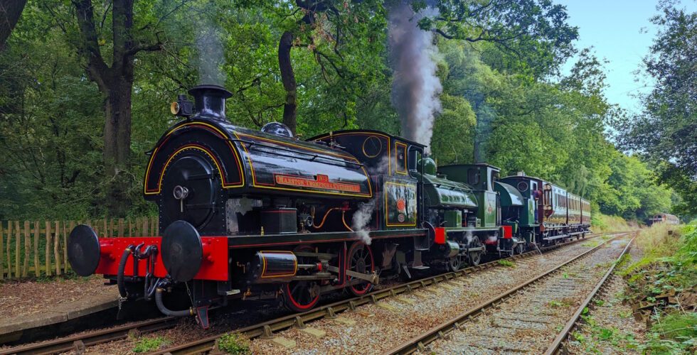 Train Services - Foxfield Railway